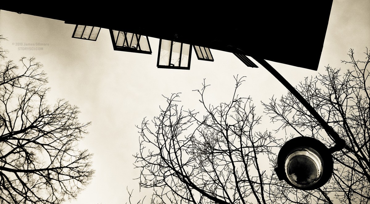 8 Movies That Prove Perspective is Everything – Story Science